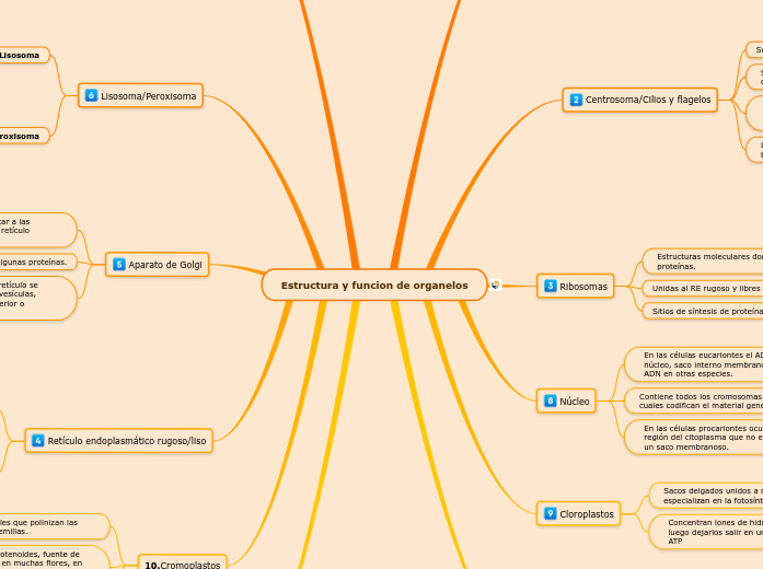 Estructura y funcion de organelos - Mind Map Estructura y funcion de organelos - Mind Map